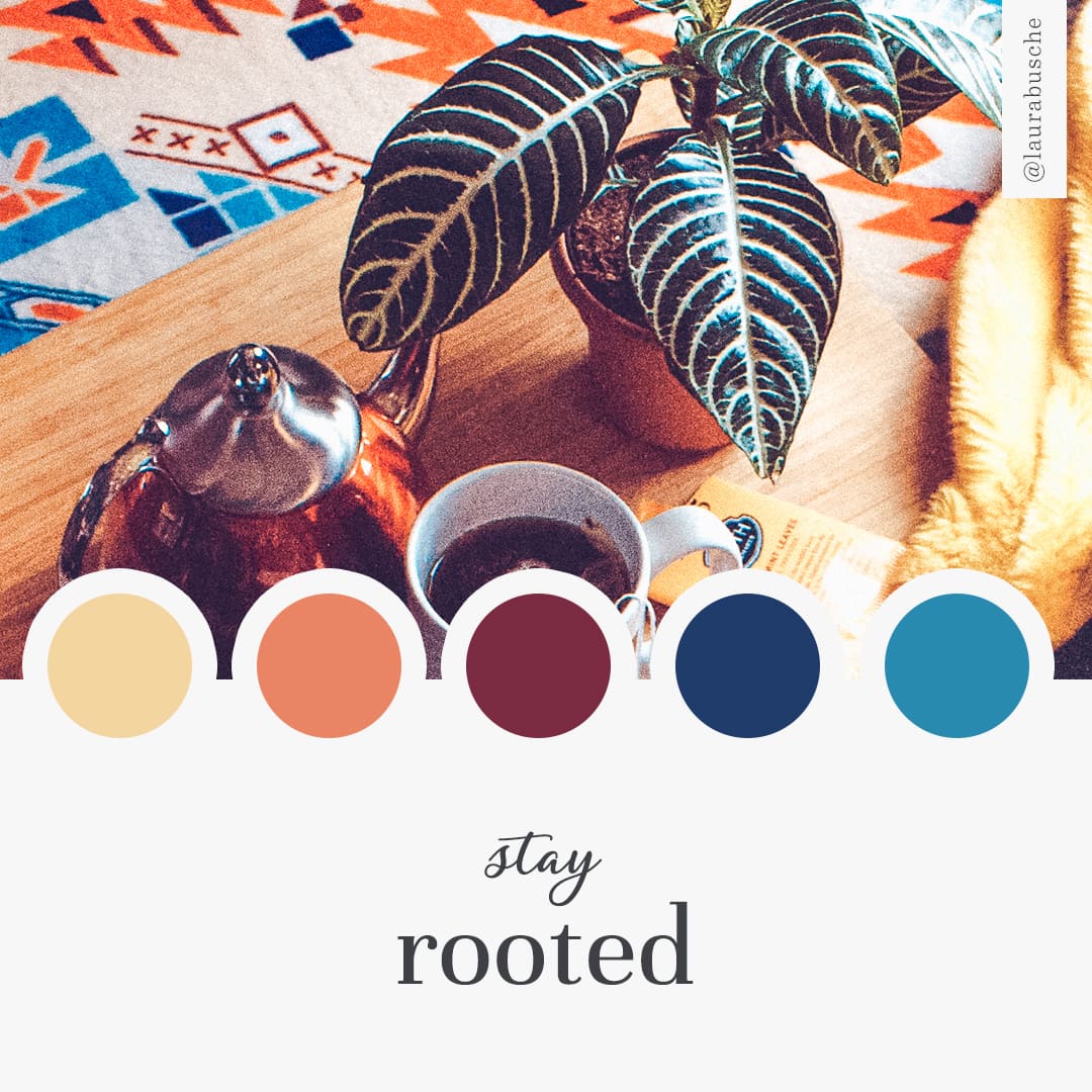 Brand Moodboard: Stay Rooted | Laura Busche